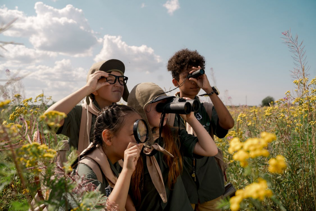 20+ Summer Camp Activities for Kids That Will Keep Them entertained